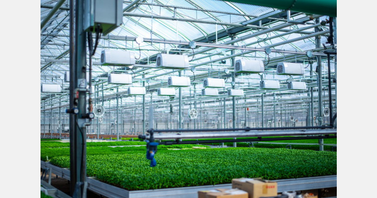 Exploring ways to feed the future in the Autonomous Greenhouse Challenge