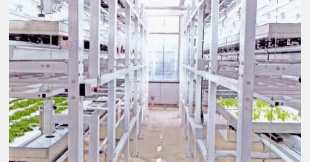 The advantages of plant factories