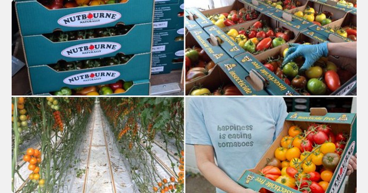 First Choice Produce