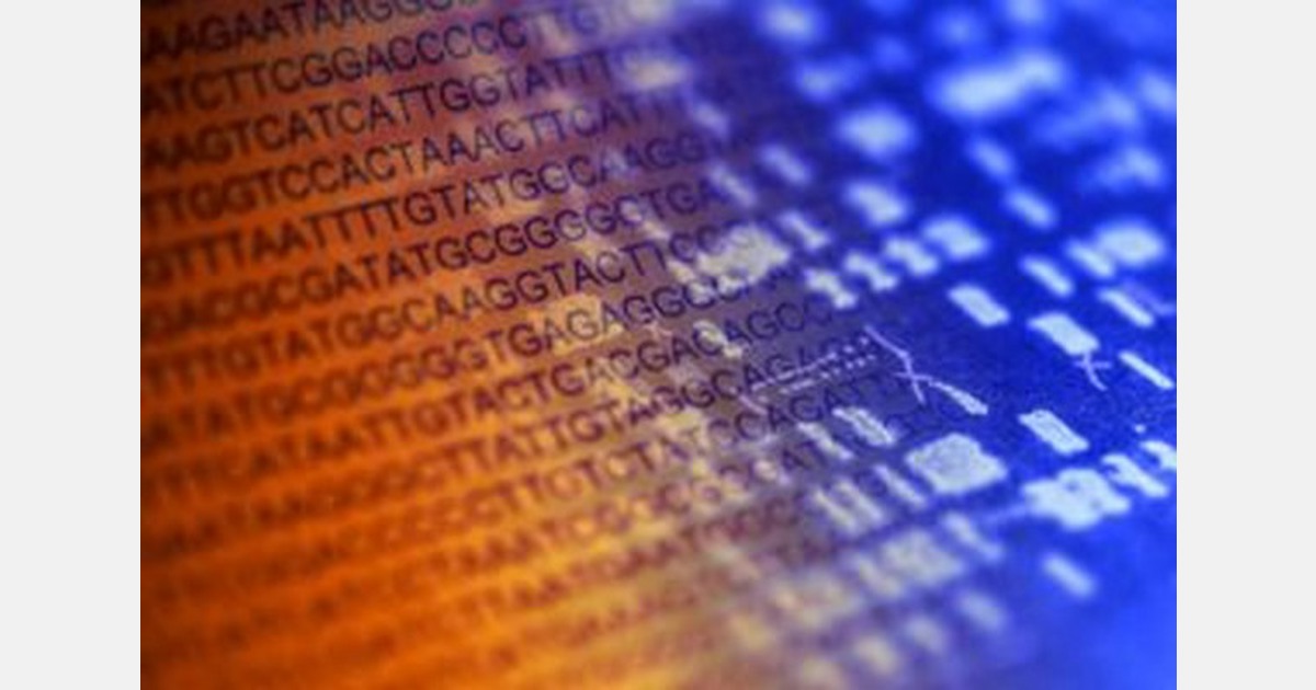 KeyGene and LGC extend license for Sequence-Based Genotyping technology