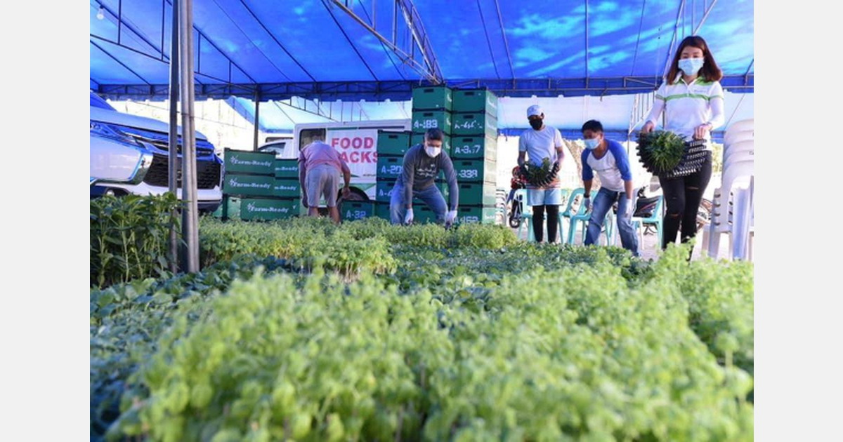 Donating seeds to COVID-19 victims