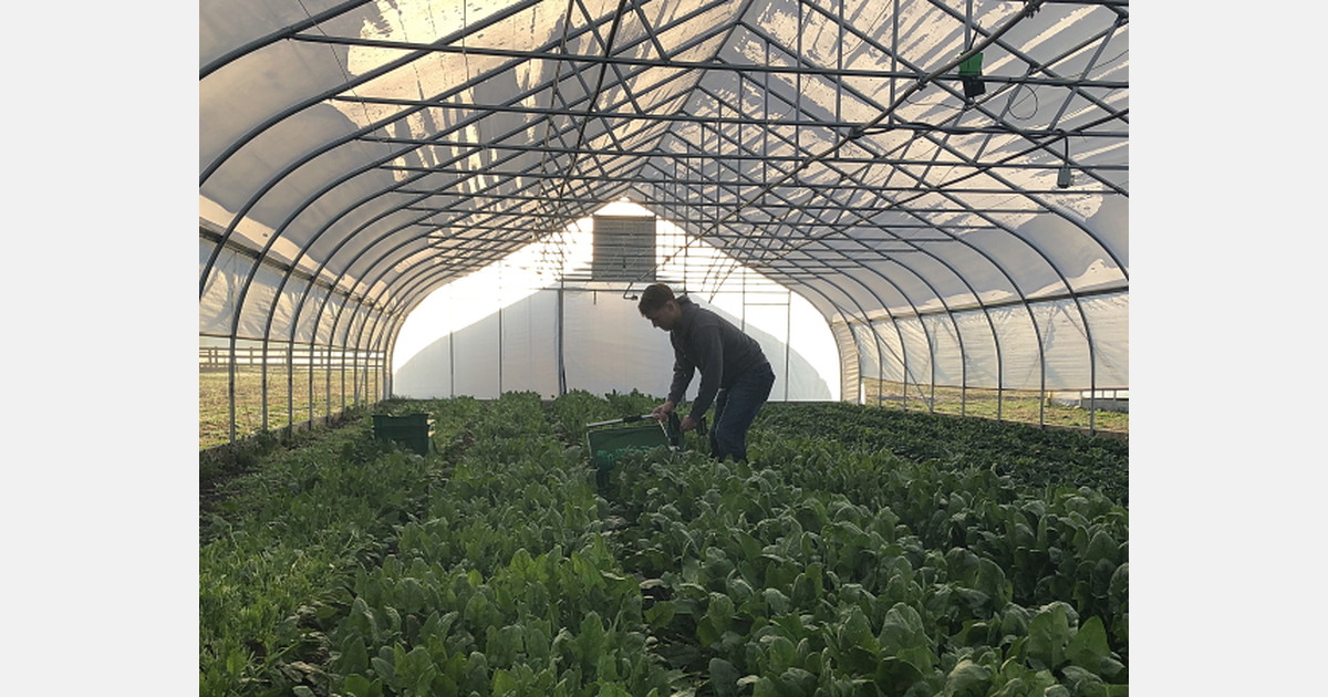 US (IN): Purdue Student Farm helping to stock local food pantries with ...