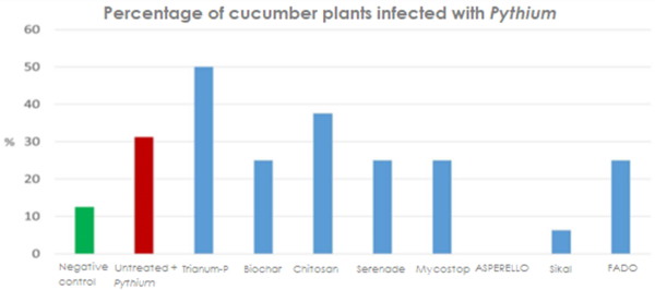 Asperello leads the field in biological control of Pythium in cucumber ...