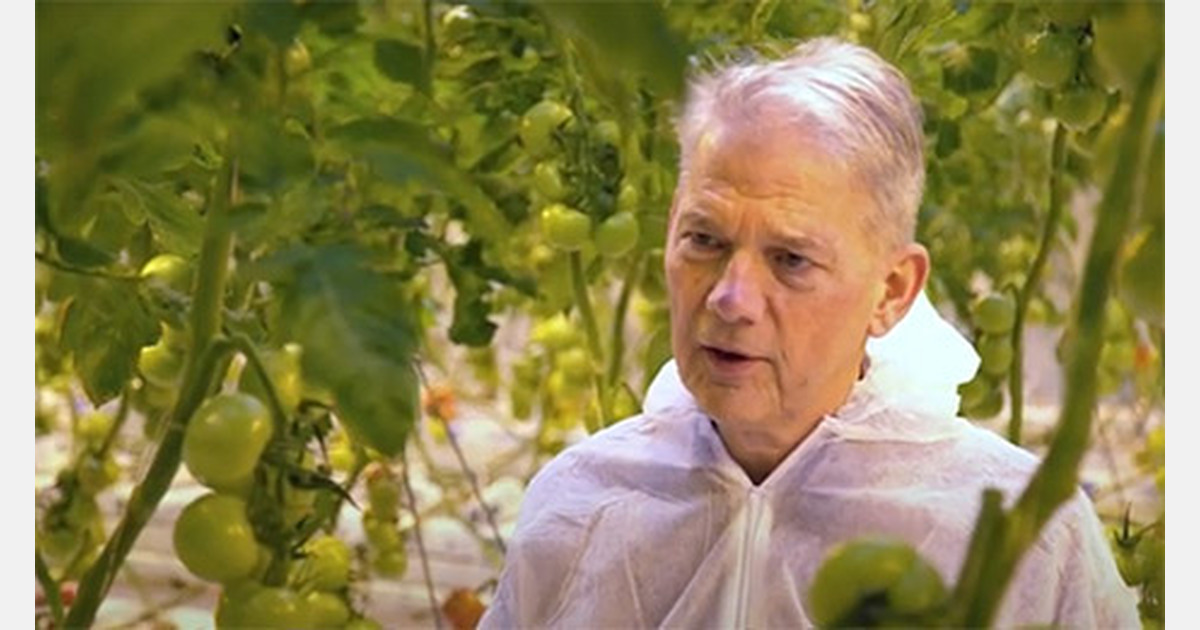 Webinar series: Implementing plant empowerment