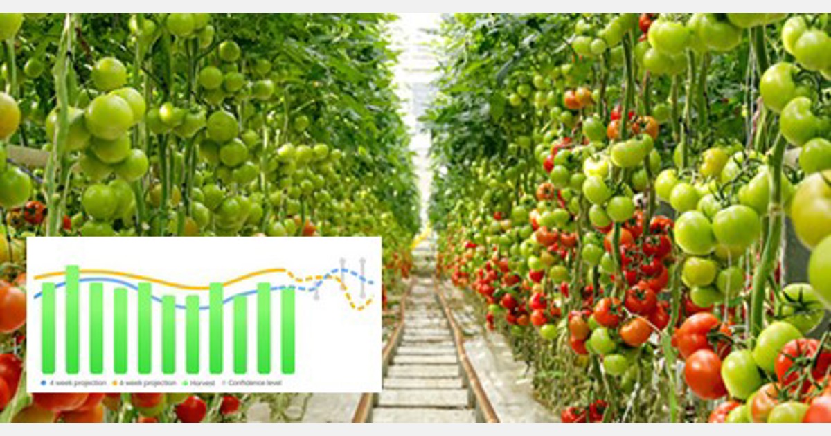 "90 percent accuracy for new tomato yield prediction code"