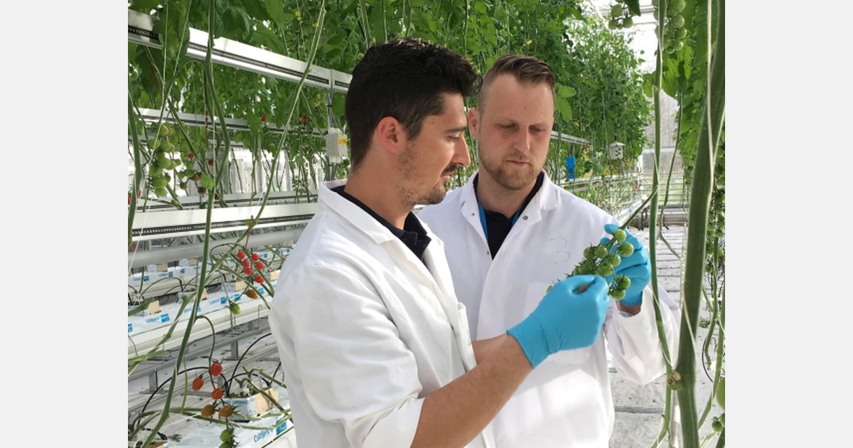 "Crop technician apprenticeship could benefit wider industry"