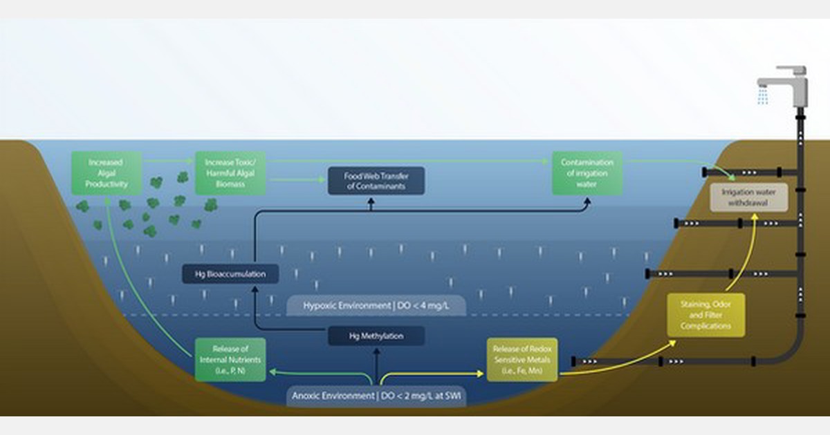 Tackling agricultural water scarcity