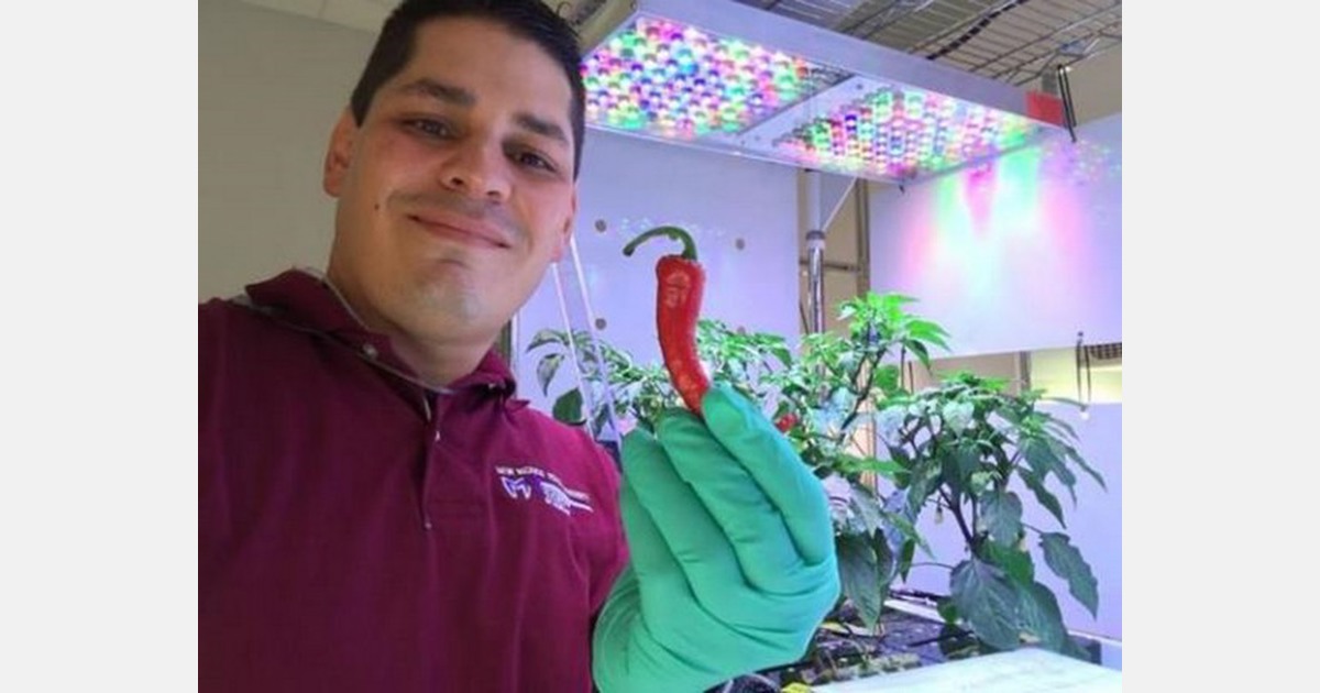 Space peppers to spice up astronauts' diets
