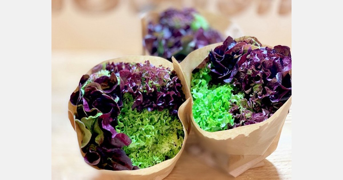 Sealable, recyclable, repulpable specialty papers