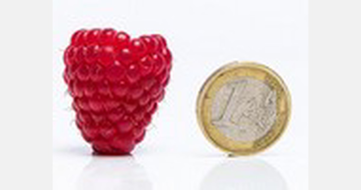 "Glen Mor; the new raspberry that gives more"