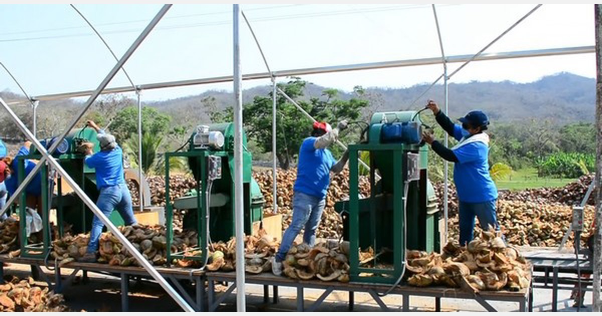 Fibredust announces new Mexican operation “Costa Sur”