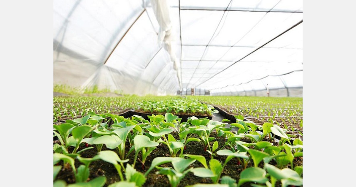 Substrate handling influences air porosity