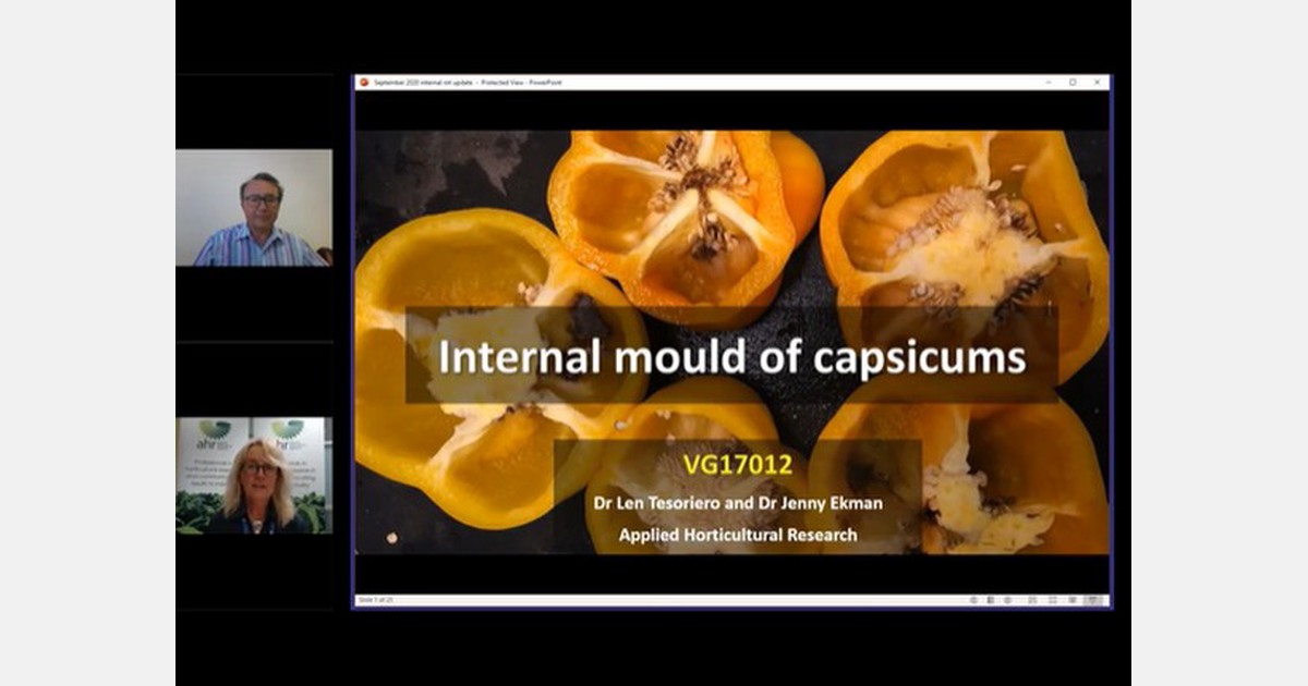 Webinar on internal rot of capsicum
