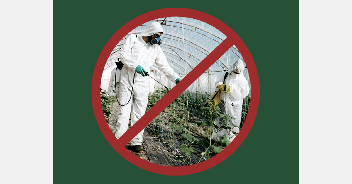Combating harmful crop pests without spraying more chemicals