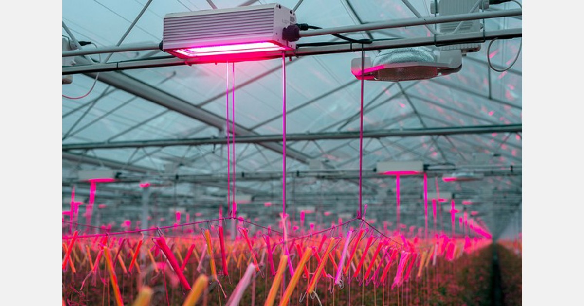 "Water cooling improves the lifespan of the entire LED fixture"