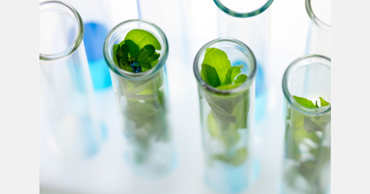 Indicator species analysis: A useful tool for plant disease studies