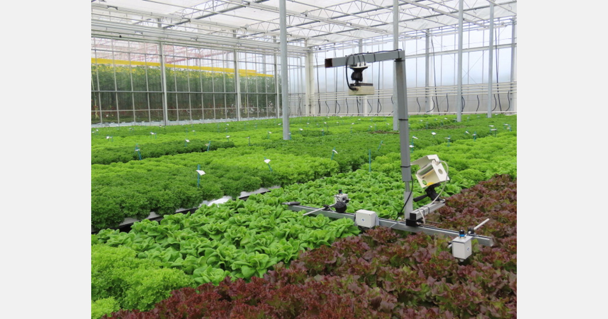 A sustainable data-driven strategy for maximizing yields