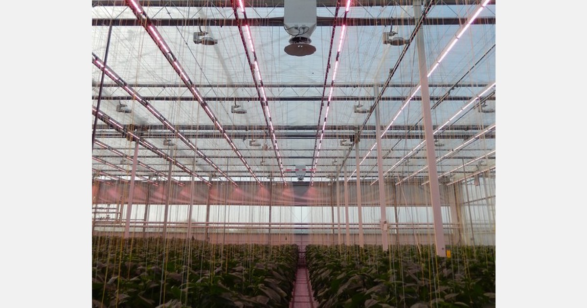 New solution on greenhouse climate control showcased