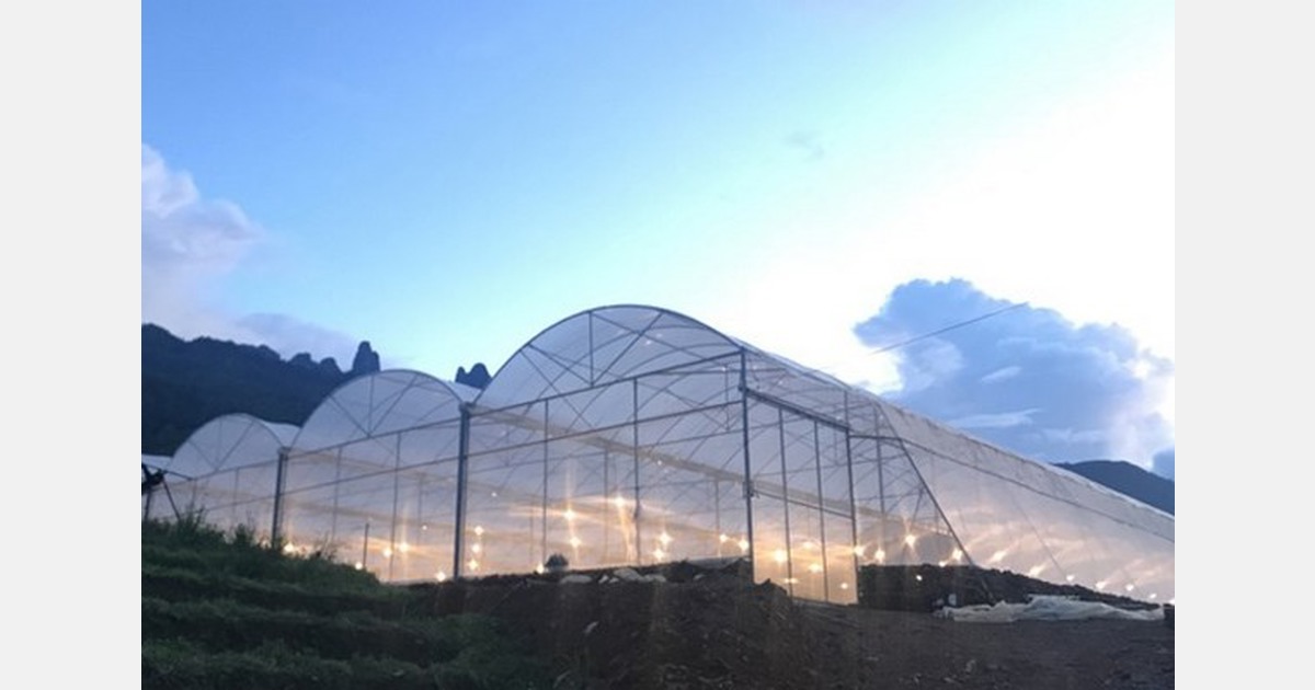 Greenhouse information supplier strengthens cooperation with Vietnamese ...