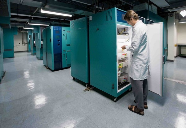 Studying invasive species in phytotron research chambers