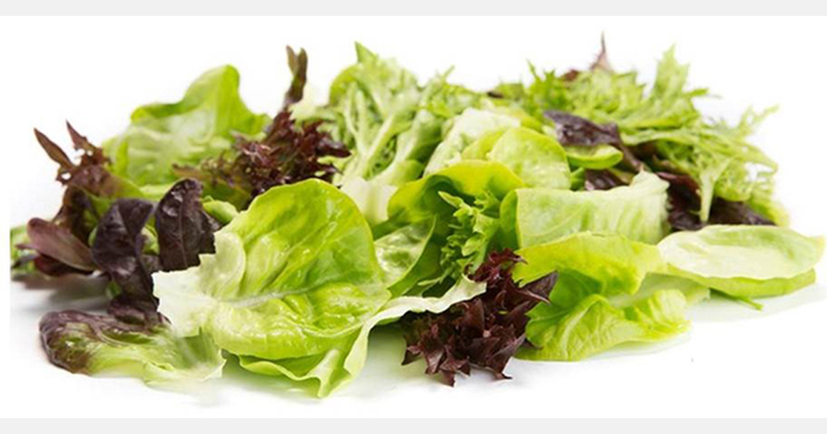 "New lettuce concept meets demand for greater convenience for grower ...