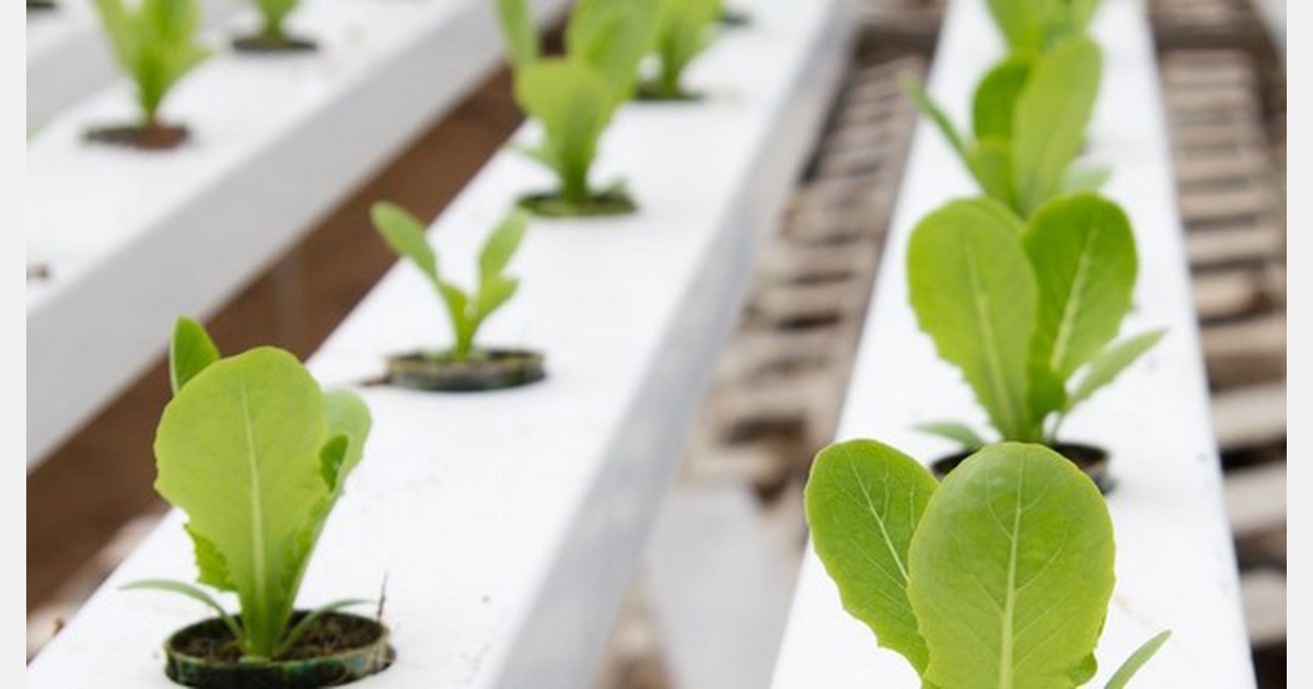 BASF strengthens innovation pipeline for sustainable agriculture