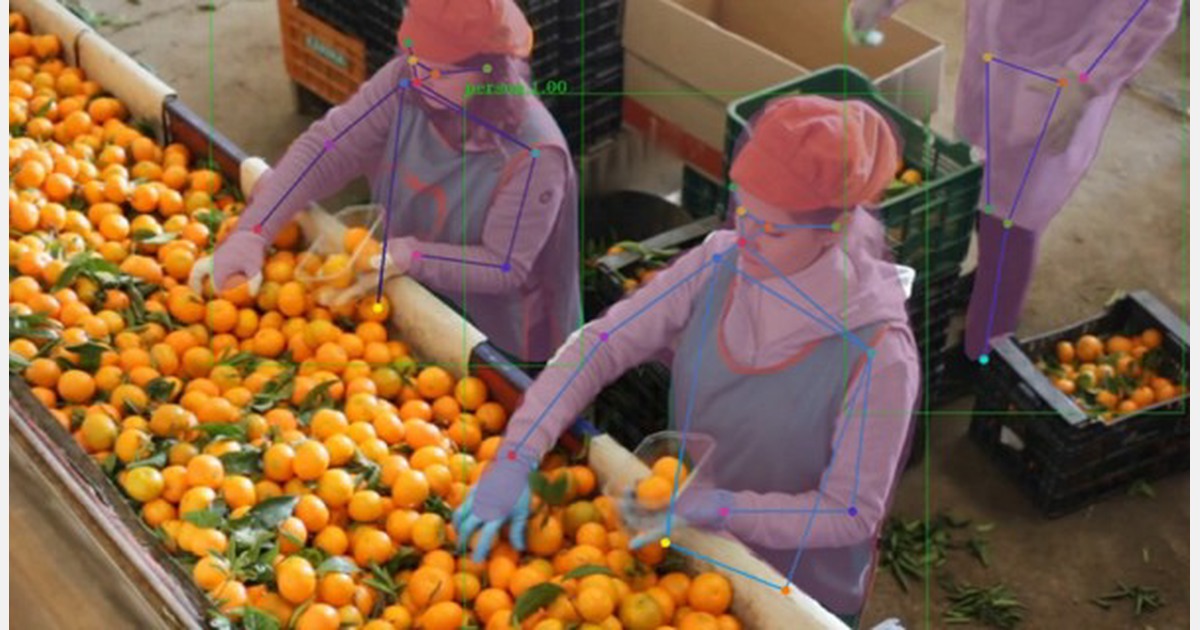 Intelligent robots increase the benefit from fresh produce