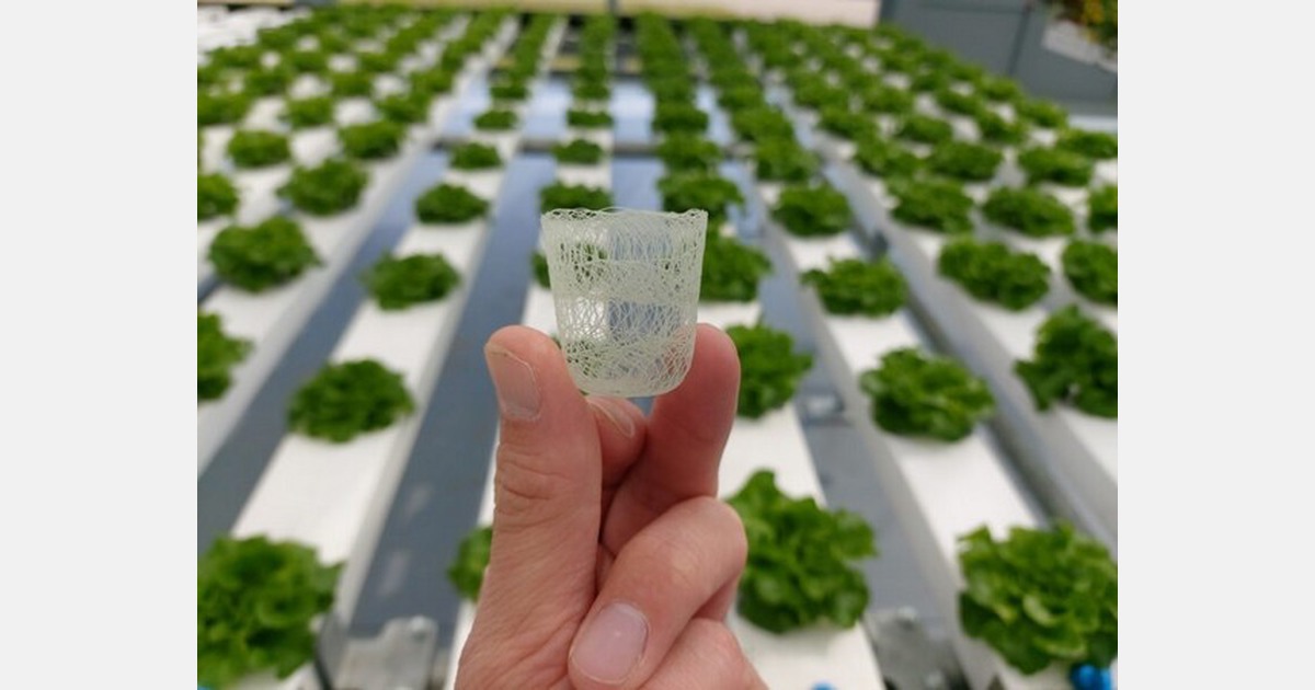 Biodegradable cutting and seed plug growcoon suitable for any substrate