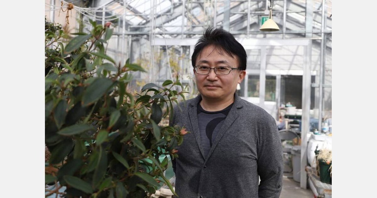 Spotlight on Research: Get to know your plants through ionomics