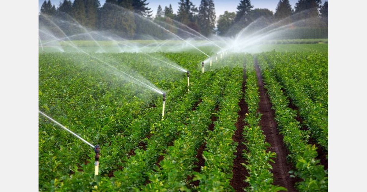 Iran: development of 185,000 hectares of new irrigation systems