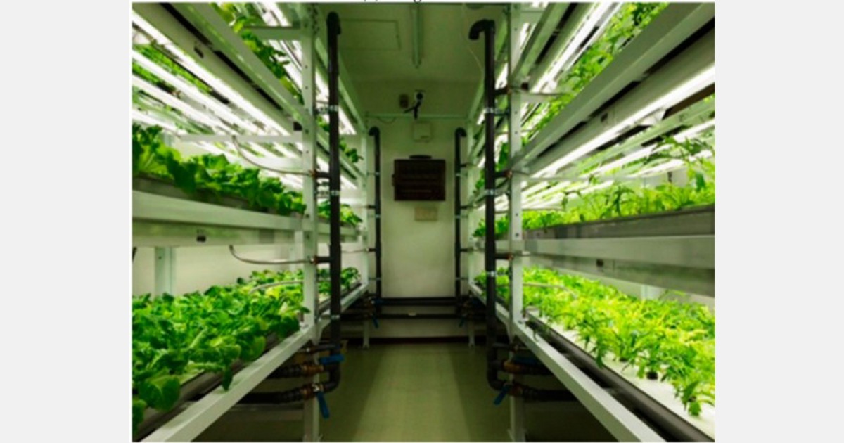 Research on crop growing factory: focusing on lighting and ...