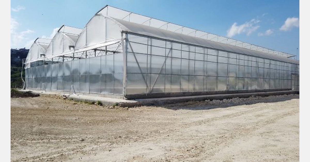 The first hydroponic greenhouse is built in Hatay, Turkey