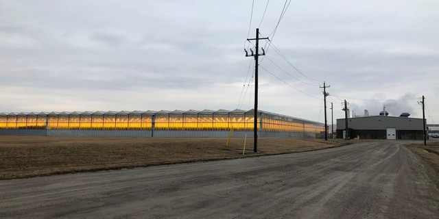 Standardization of modular CHP plants facilitates expansion of ...