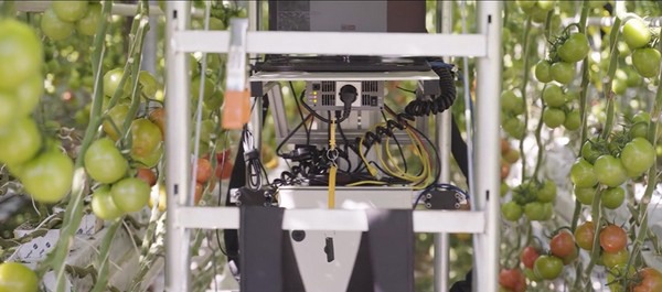 "Pollination robots address bottlenecks in tomato crop"