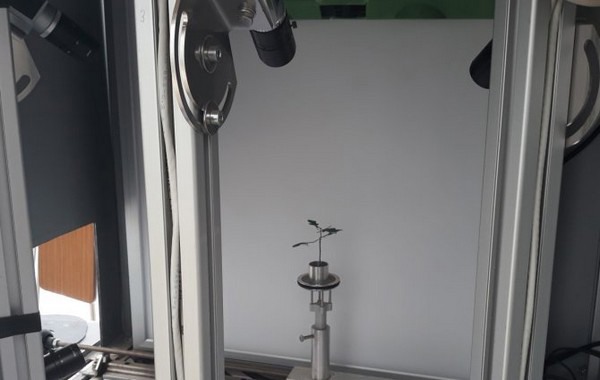 Automatic germination test provides insight into tomato seed quality