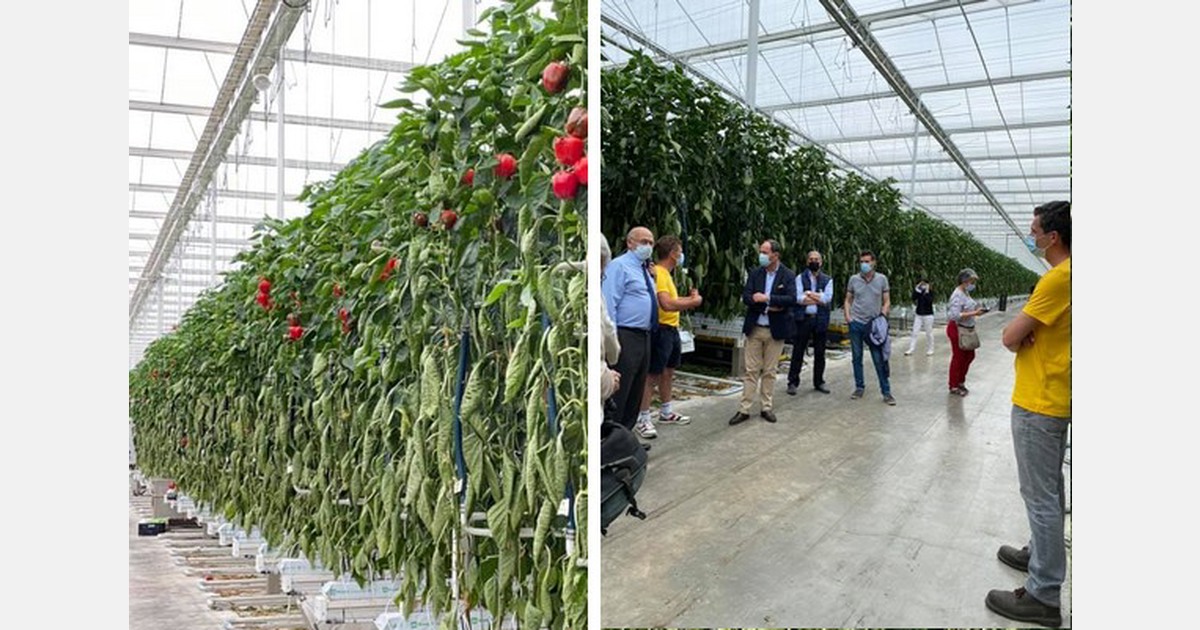 "New local production chain is courageous economic example"