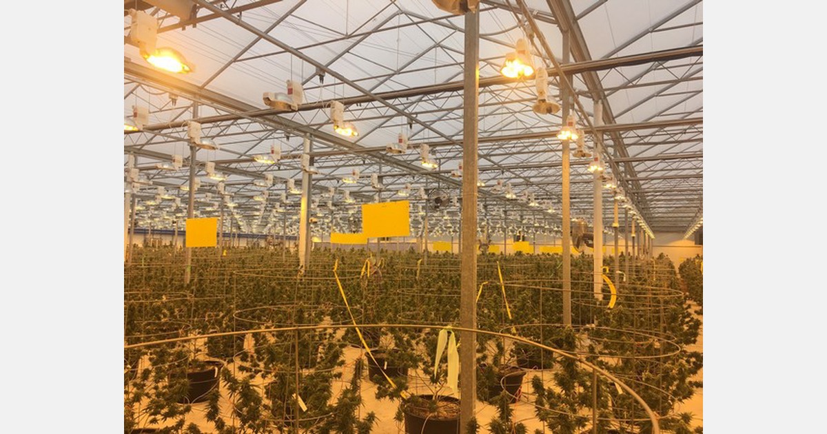 P.L. Light Systems expands North American sales team