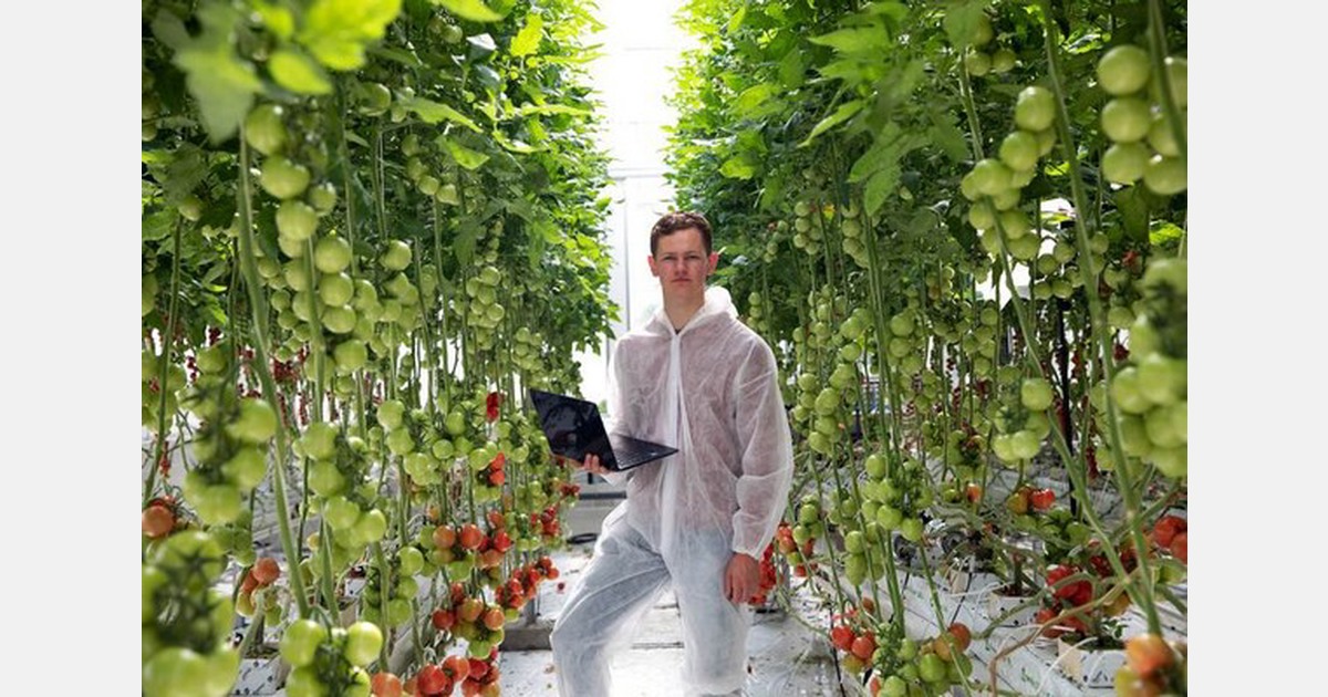 Opportunities and developments in the Greek horticultural sector