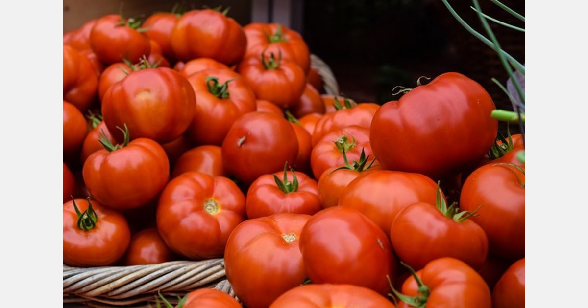 UPL launches new 'Natural Plant Protection' unit