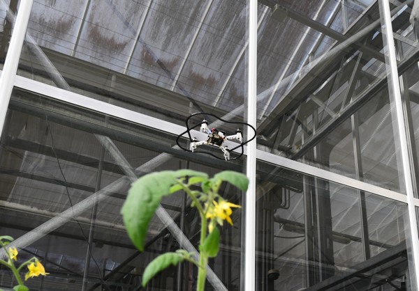 Polybee: There’s a new drone in greenhouses, and it isn’t a bumblebee