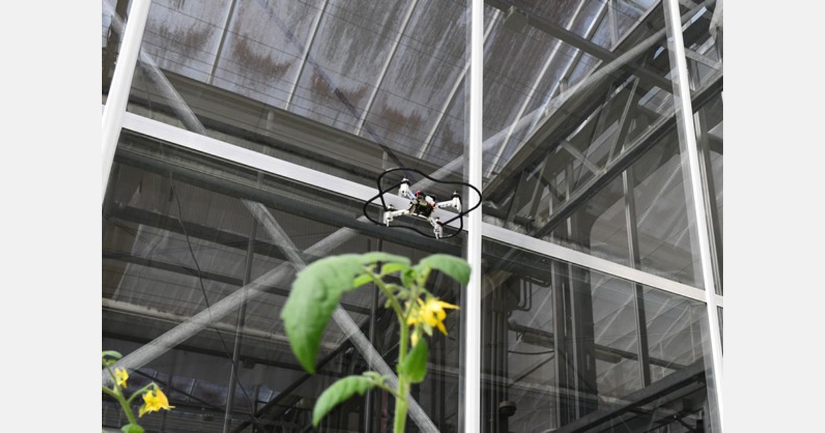 Polybee: There’s a new drone in greenhouses, and it isn’t a bumblebee