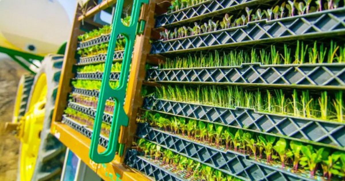 Transplanting multiple commodities: a demo of the versatile PlantTape ...