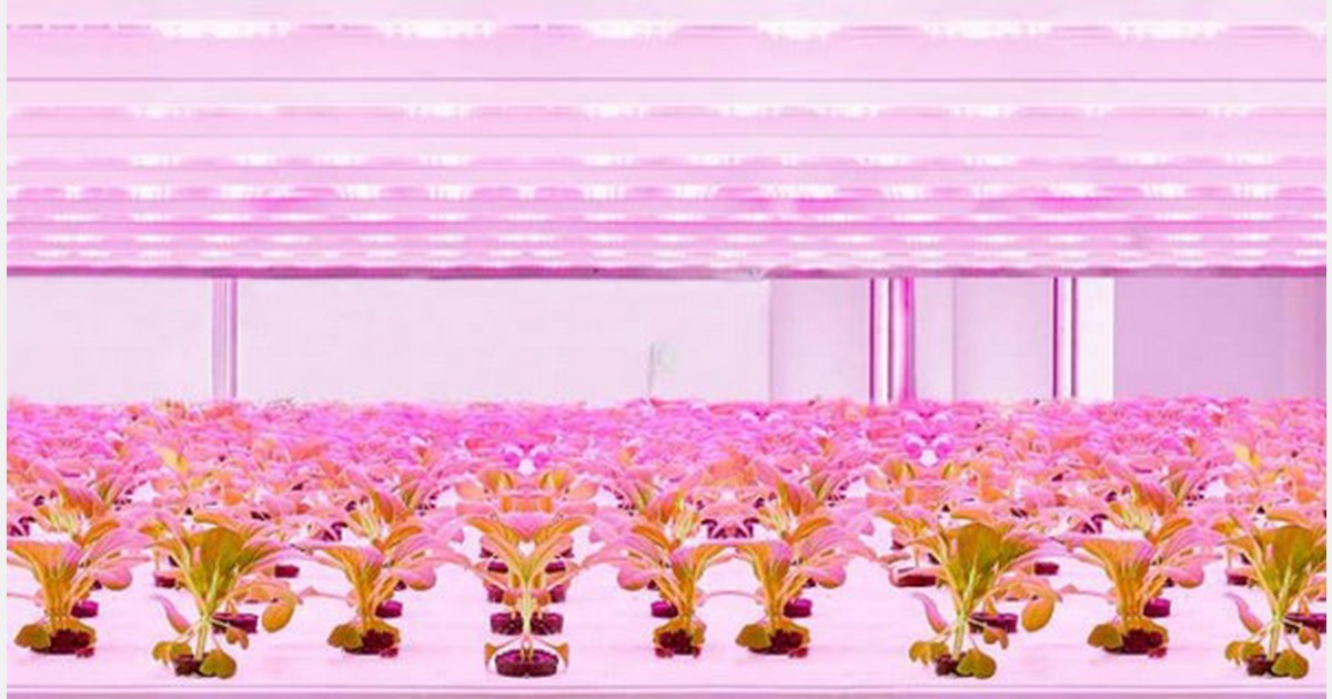 New GreenPower LED production module launched