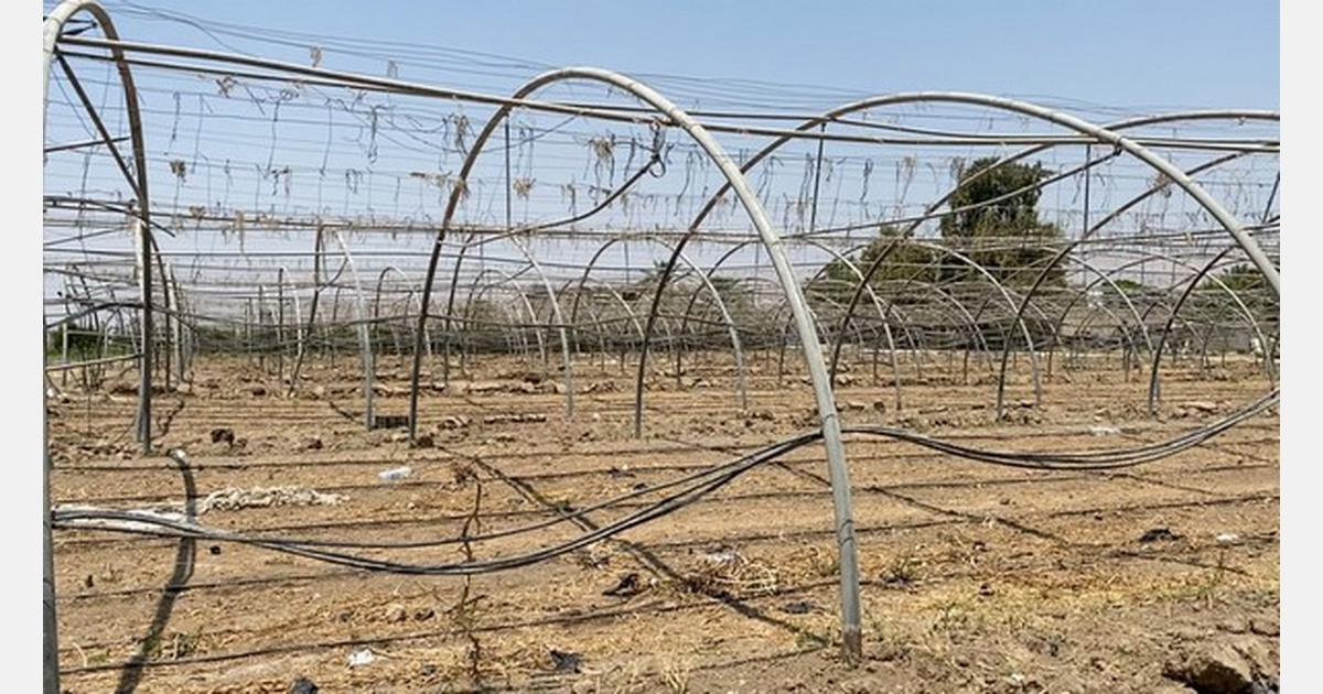 Drought-hit Jordan leaves farmers and officials facing tough choices