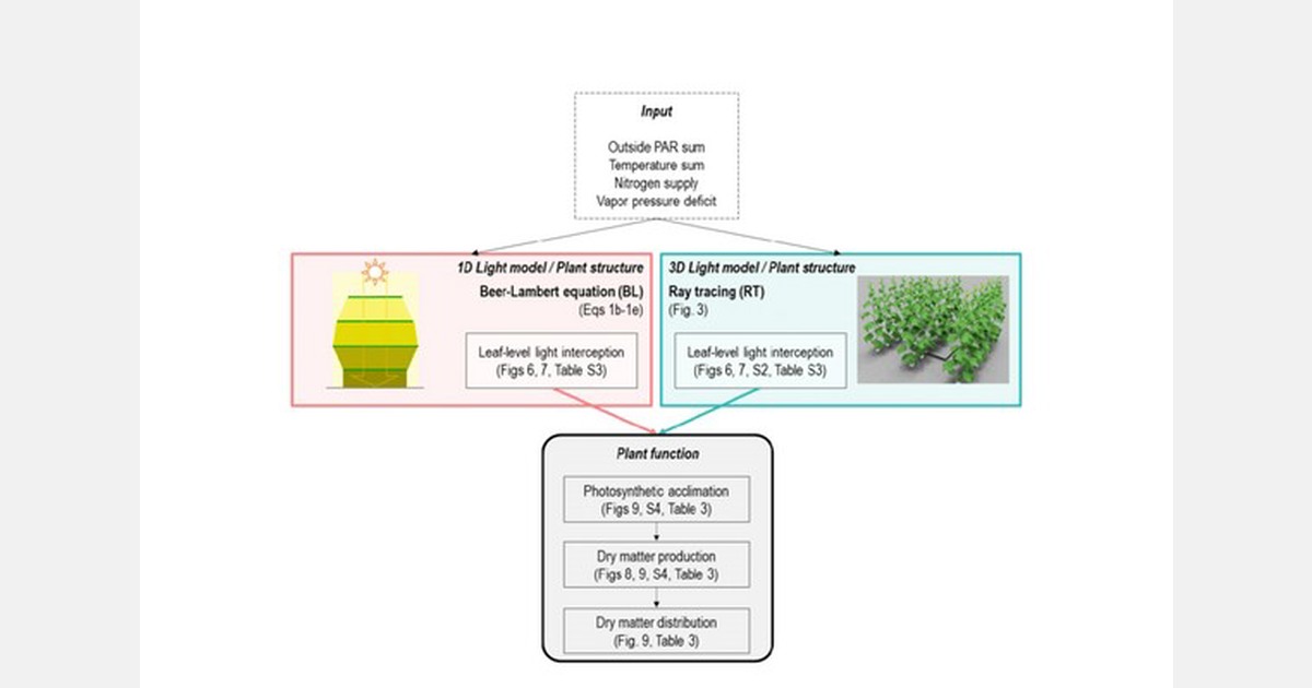 Canopy Photosynthesis Using One And Three Dimensional Light Models On Greenhouse Cucumber Canopies