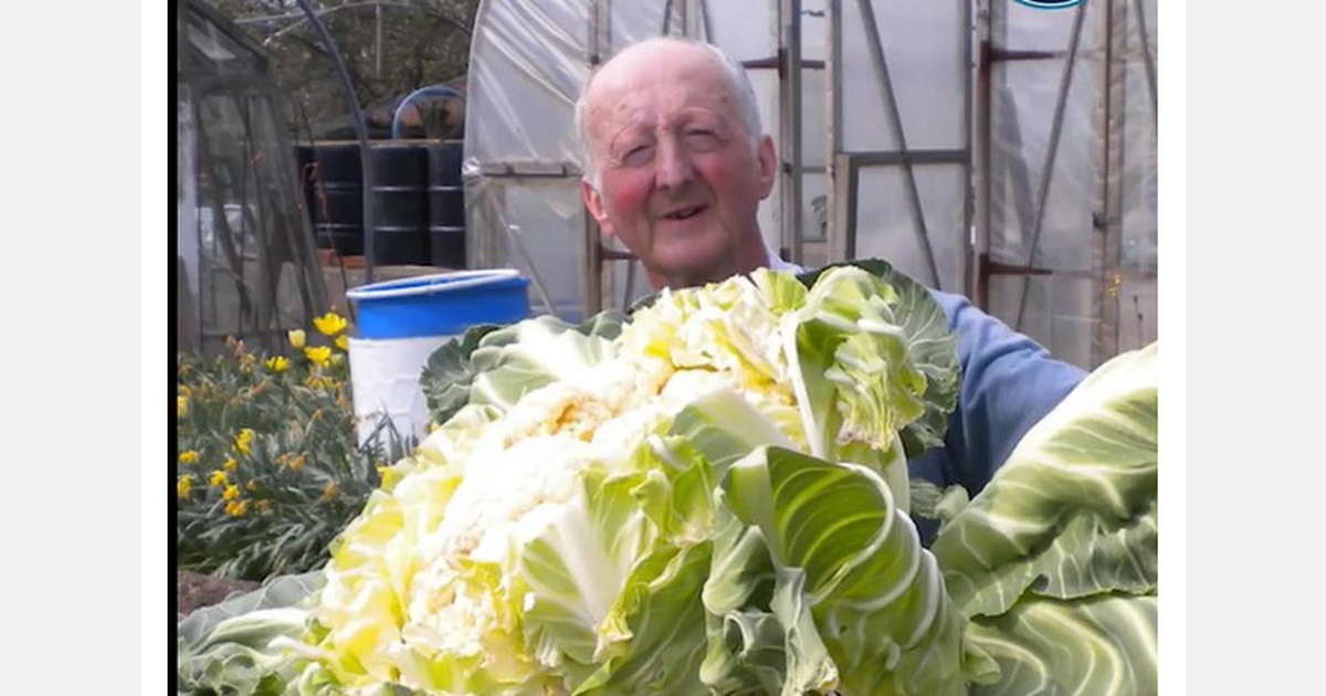 Growing the world's biggest vegetables