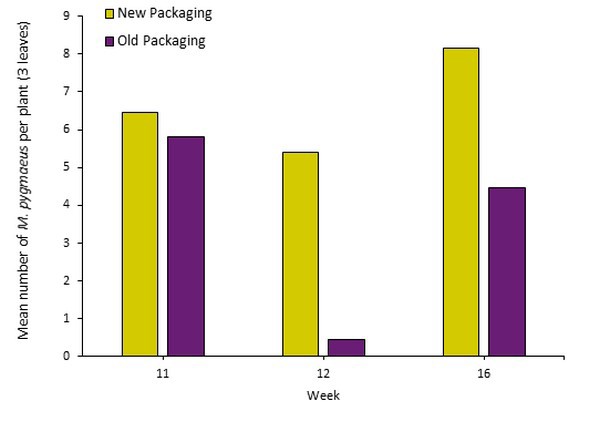 New sustainable packaging for Macrolophus predators