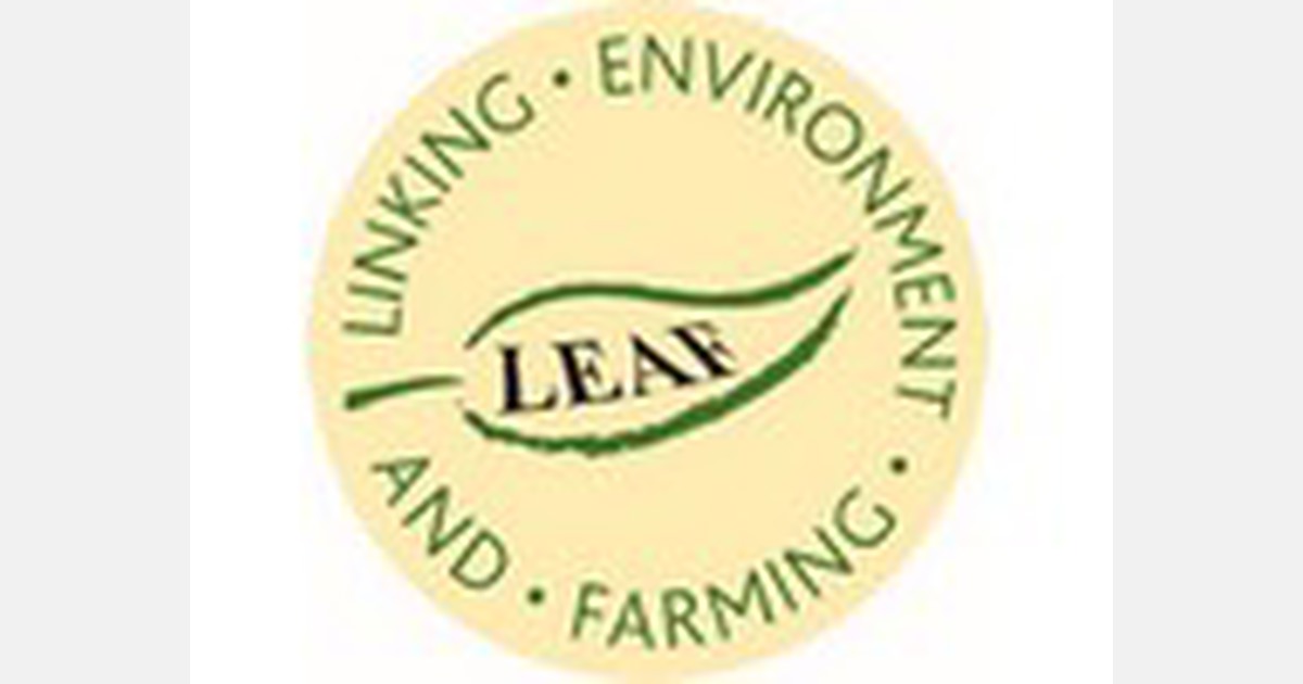 UK: LEAF invites the industry to help shape the future of the LEAF ...