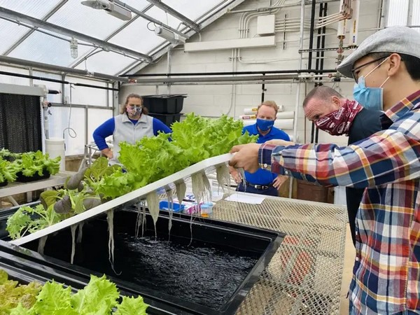 “Our program trains students to become professional hydroponic growers"
