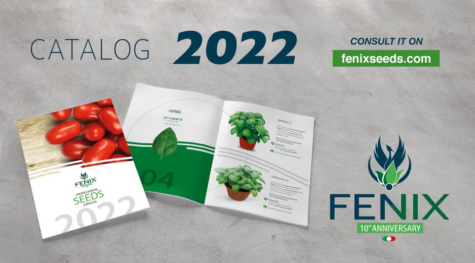 Fenix celebrates the 10th year anniversary and the new catalog for 2022